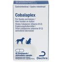 Cobalaplex Hund & Katze 60 St - Shop Apotheke
