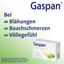 Gaspan® 90mg/50mg 42 St - Shop Apotheke
