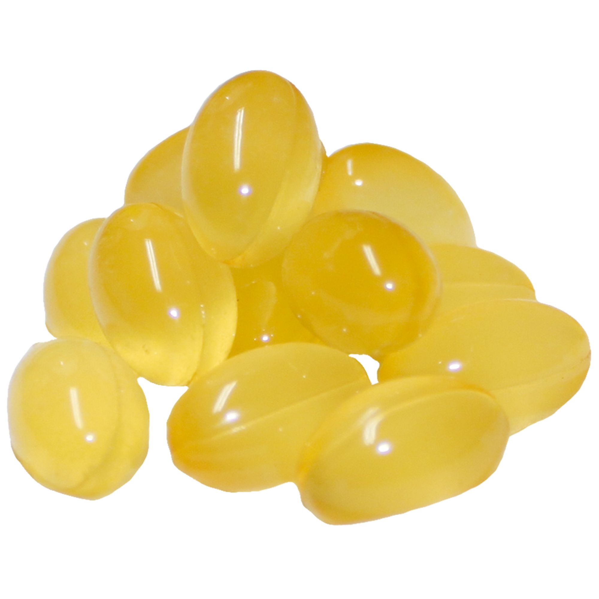 Schecker Nutrizeutikum Derm-Caps - für gesunde Haut und Fell ...