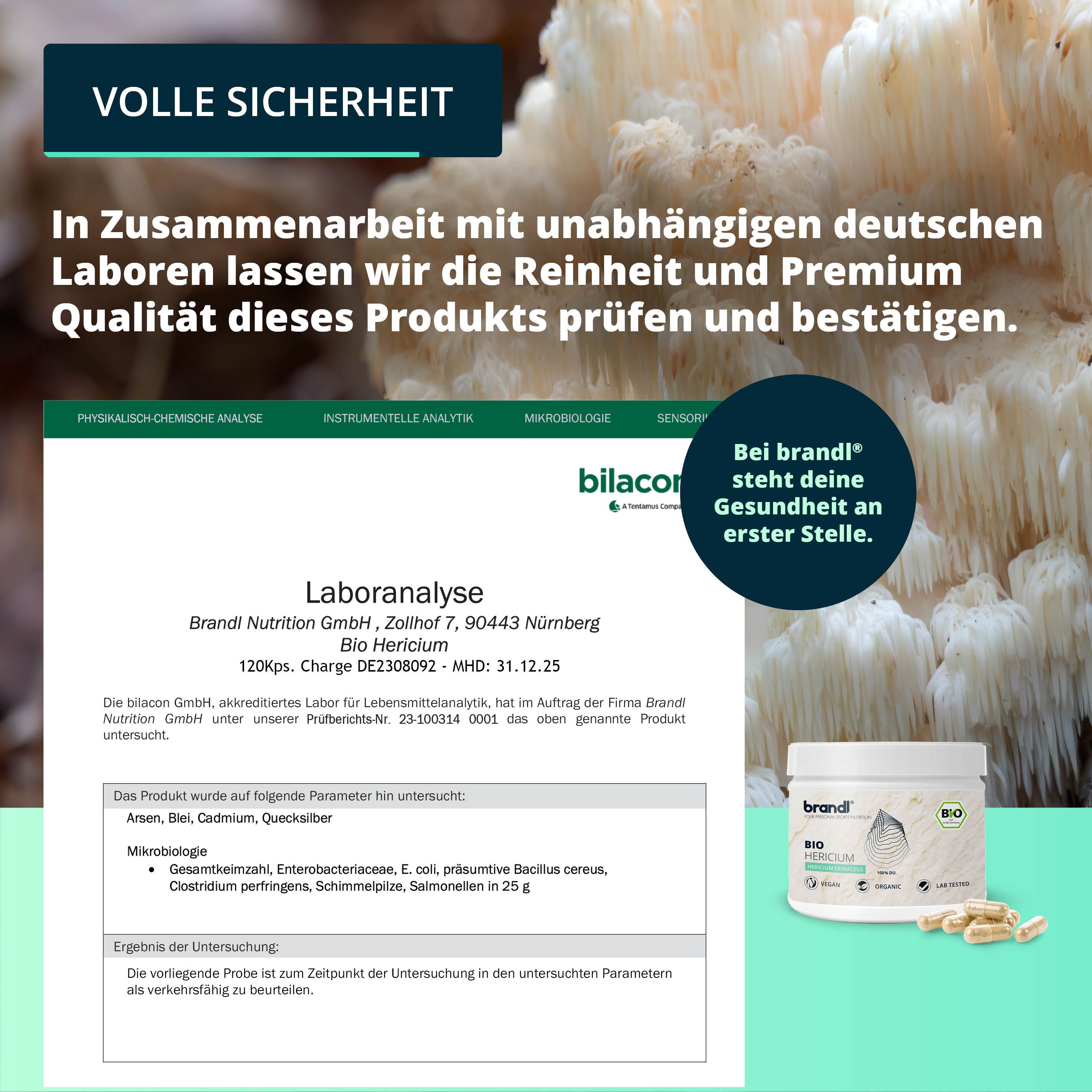 brandl® Bio Lions Mane (Hericium Erinaceus) Vitalpilz 120 St - Shop ...