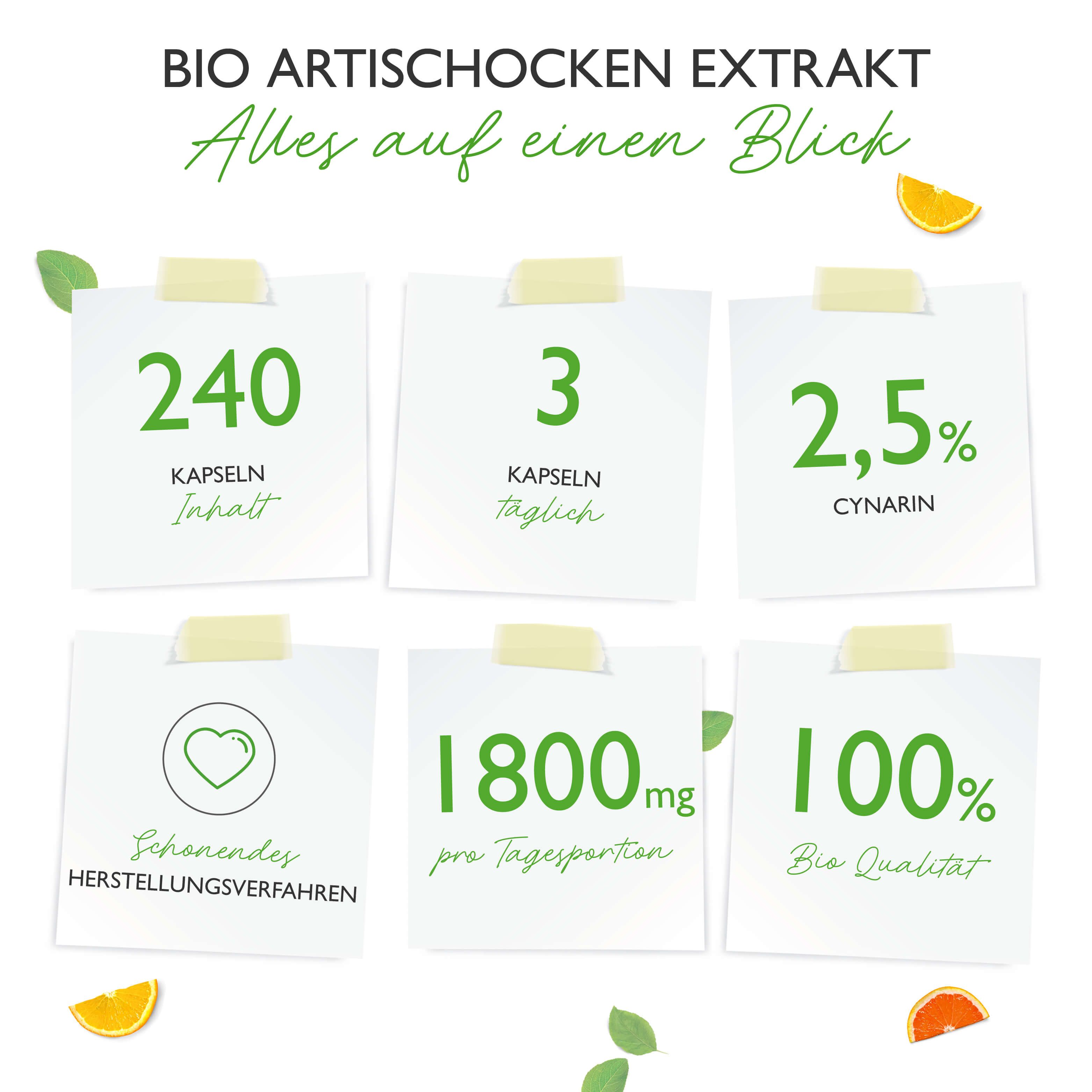 vit4ever Bio Artischocken Extrakt - 2,5% Cynarin 240 St - Shop Apotheke