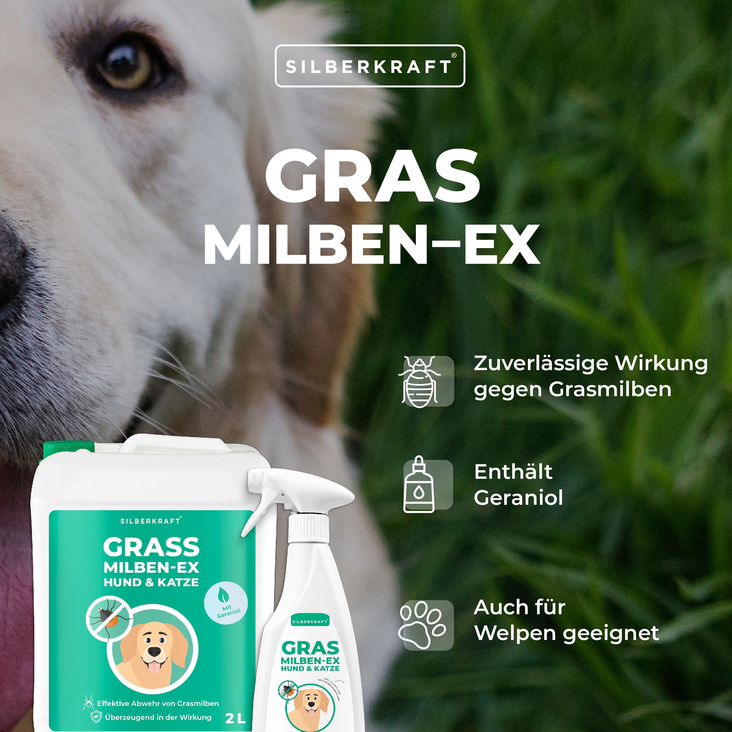Was Hilft Gegen Grasmilben Beim Hund - Frag Den Experten