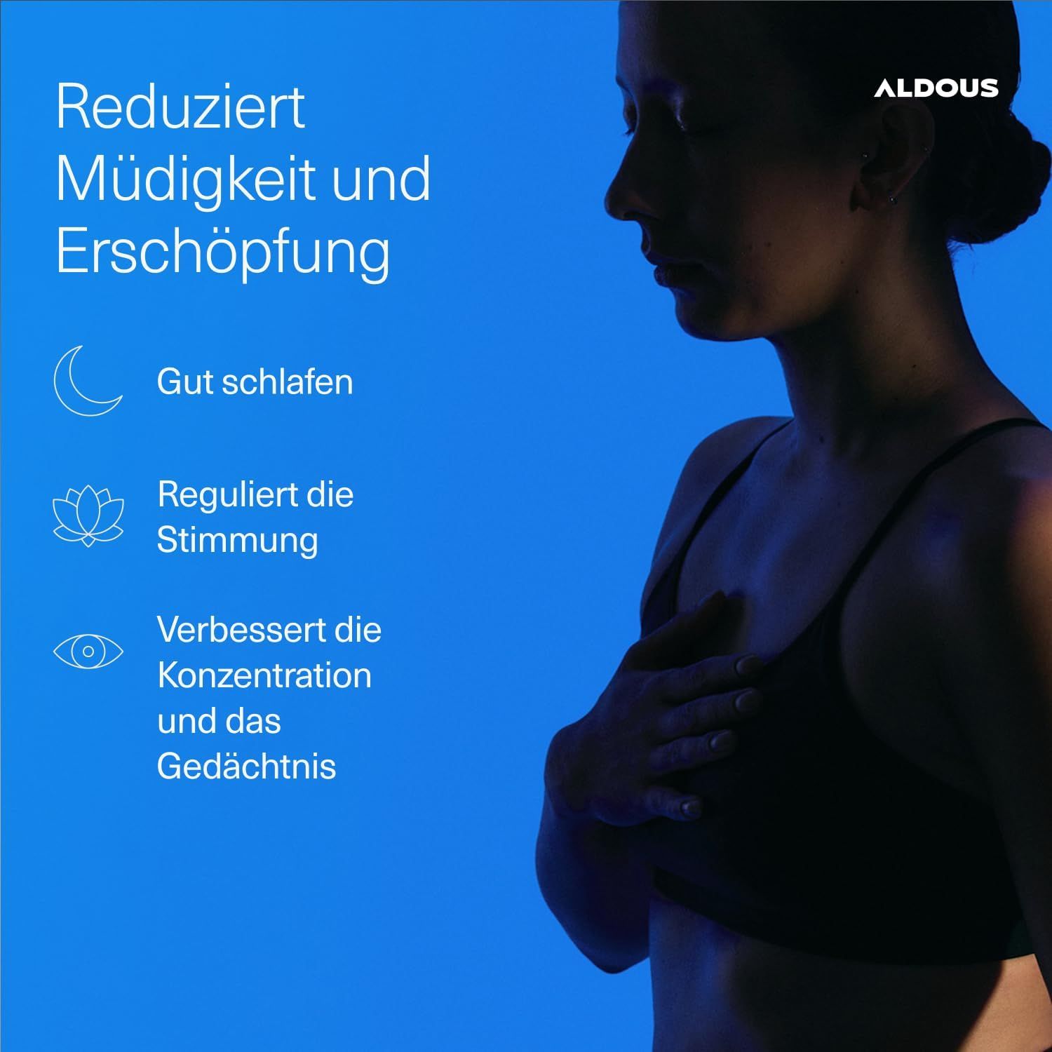 Aldous L-Tryptophan Tablette 300 St - Shop Apotheke